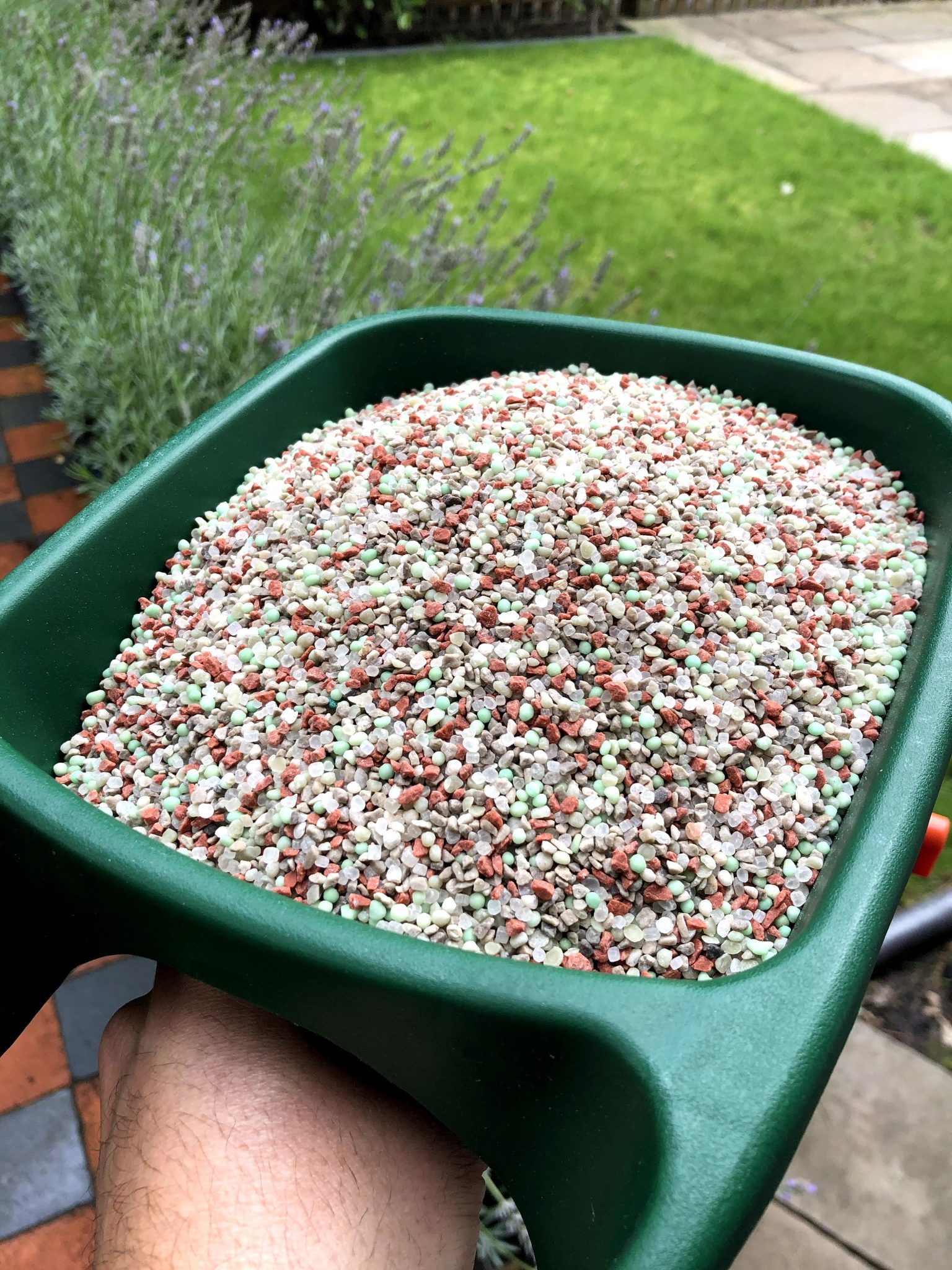 Seasonal Weed and Feed Application on Grass Lawns